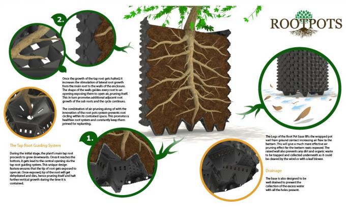 ISO9001 50 Gallon Plastic Plant Pots Fast Growth Tree Root Container