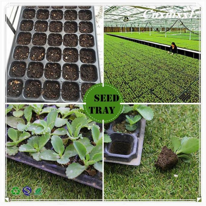 1.5inch Hole Germination Plastic Planting Trays Anti Aging 72 Cell ...