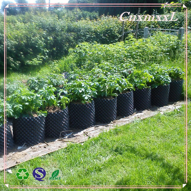 Eco Friendly Ventilated 0.5mm PVC Air Root Pruning Pot For Seed Planting