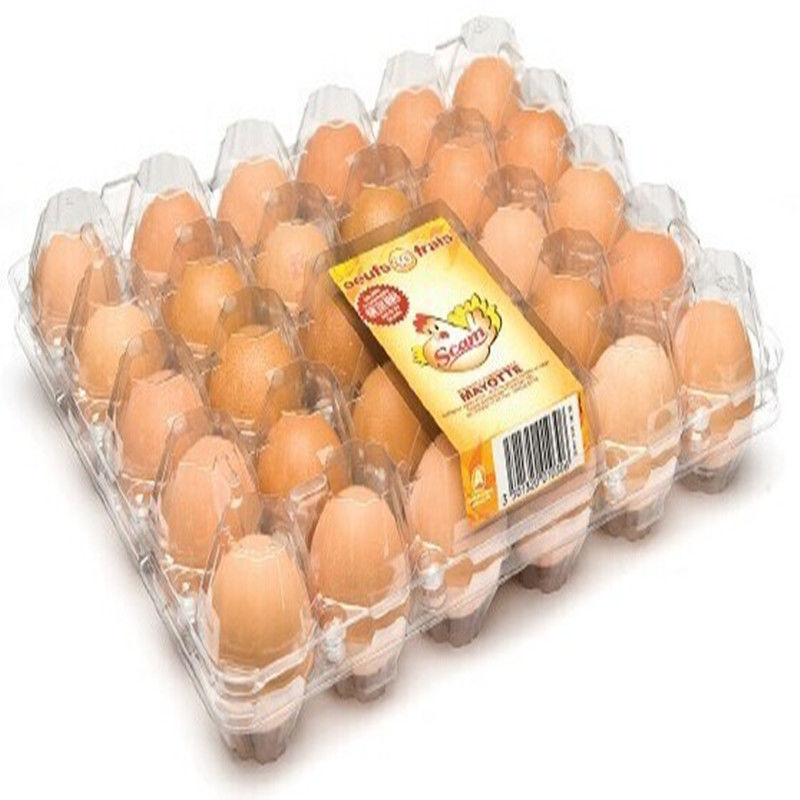 Convenient 8pcs 0.7mm PVC Plastic Egg Carton Transport Egg Incubator Tray
