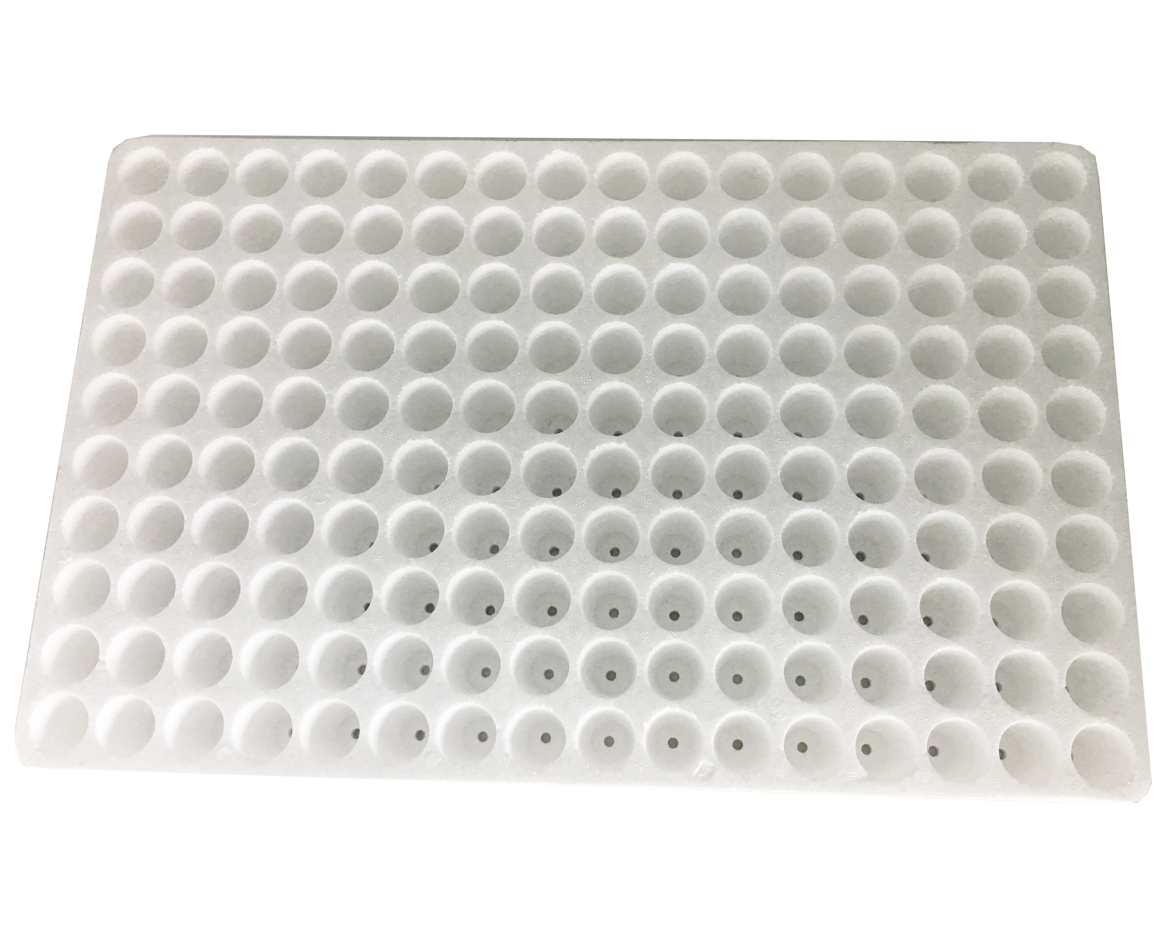 50 120 160 200 Cavities Floating Seedling Tray EPS Foam Material Seed Tray