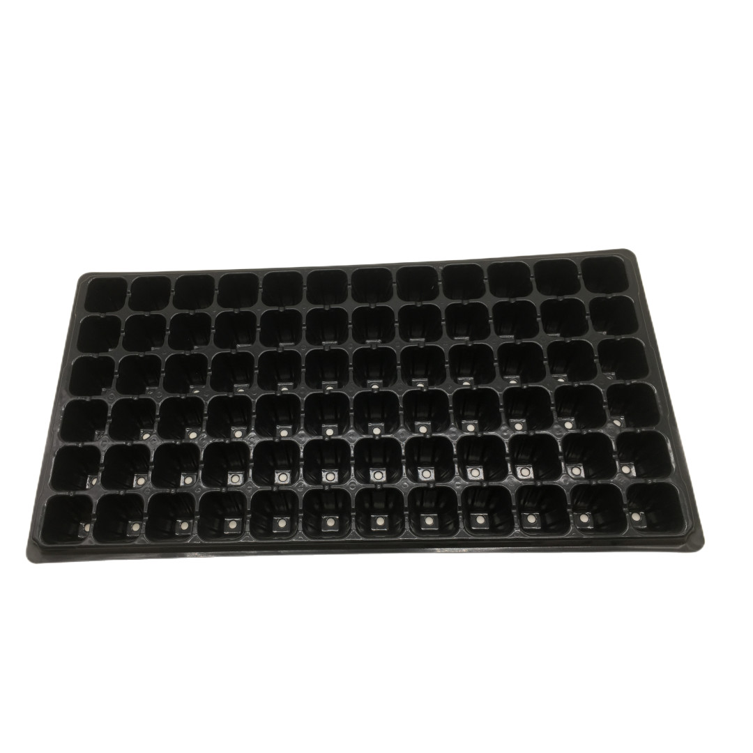 72 Cells Nursery Tray Plastic Seedling Tray Mango Plant Strawberry ...