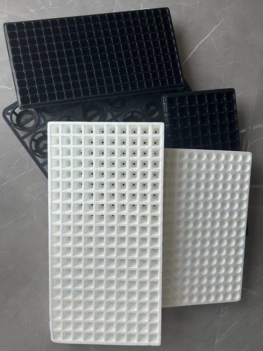 120 50 Wellseedling Tray Eps200 Well Seedling Nursery Tray In ...
